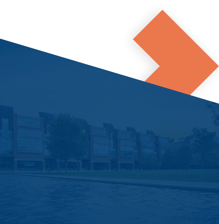 Home | Brilliant Catalyst